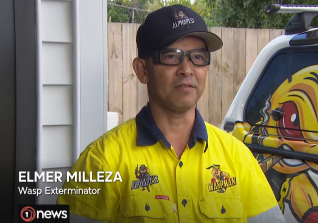 Meet Our Team of Wasp Exterminators in Auckland | WASPMAN